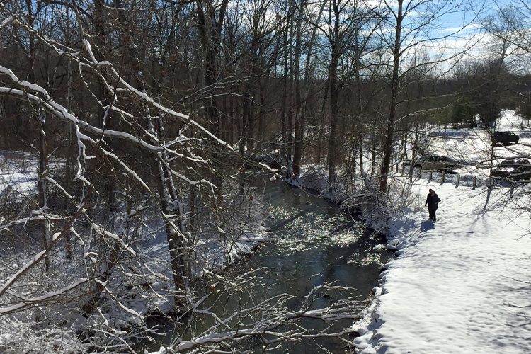 Home - Limestone Post Magazine - Limestone Post Magazine in Bloomington ...